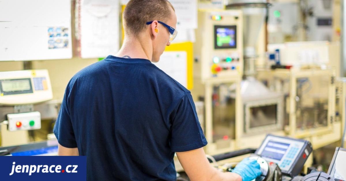 Obsluha Formátovací Pily ⚙️ | JenPráce.cz